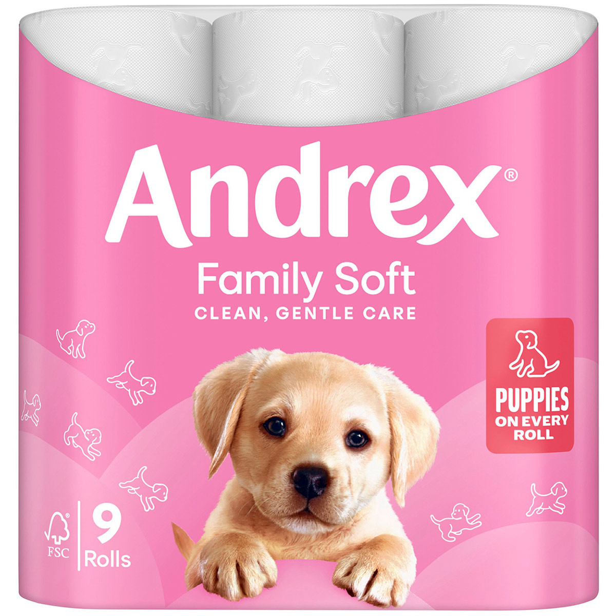 Andrex Family Soft Toilet Roll Pack (Case of 5) | Kimberly-Clark ...