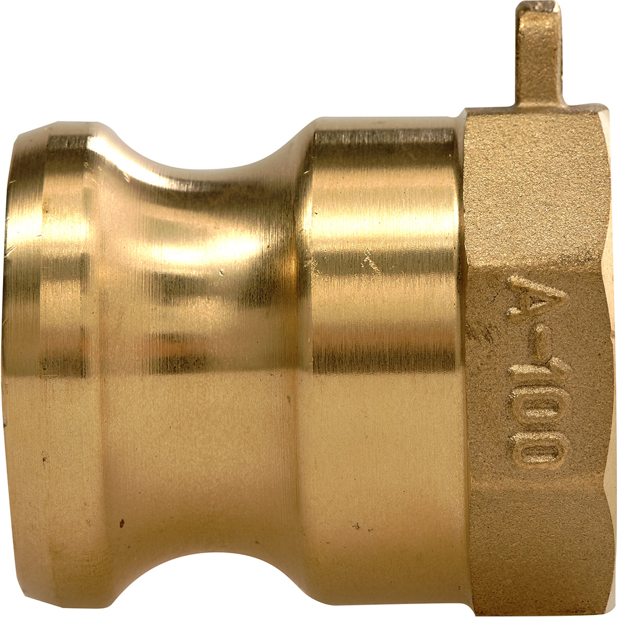 Brass Part A Camlock Fitting | Not Branded | Hose Fittings | Arco