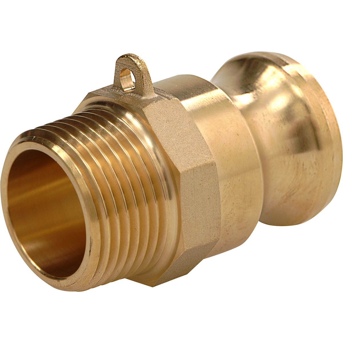 Brass Part F Camlock Fitting | Not Branded | Hose Fittings | Arco
