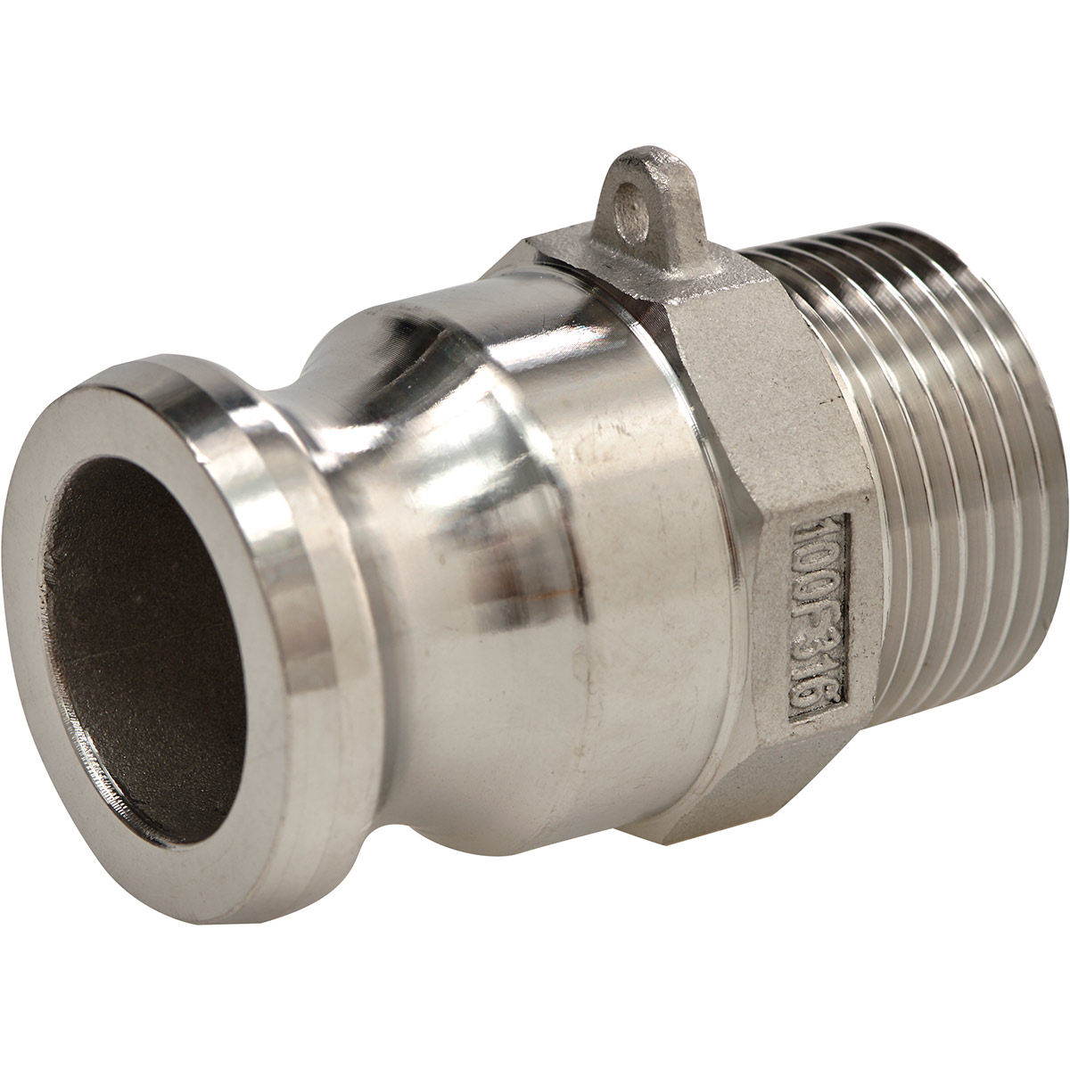 Stainless Steel Part F Camlock Fitting | Not Branded | Hose Fittings | Arco