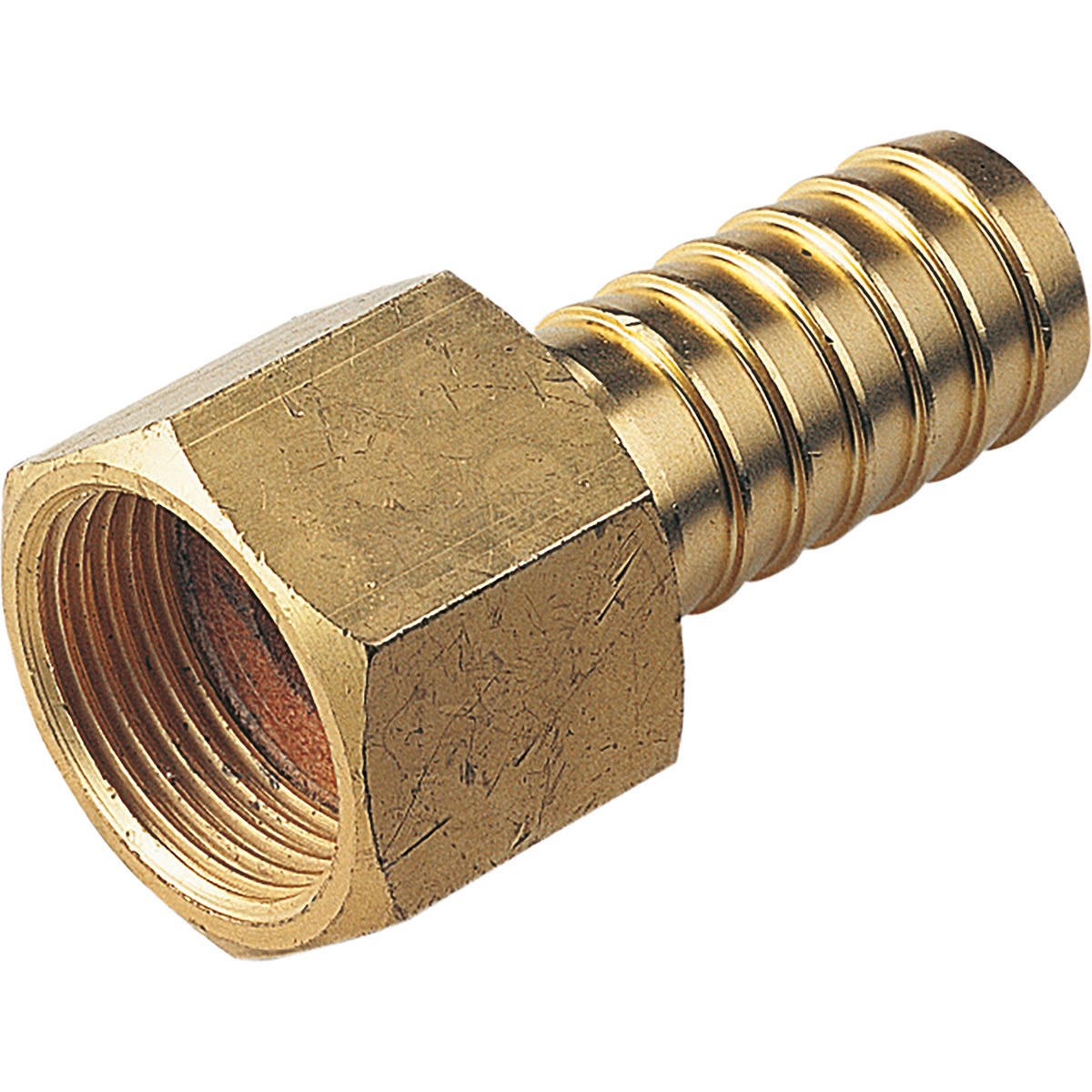 Brass Female BSPP Hex Nut with Hose Tail | Not Branded | Hose Fittings ...