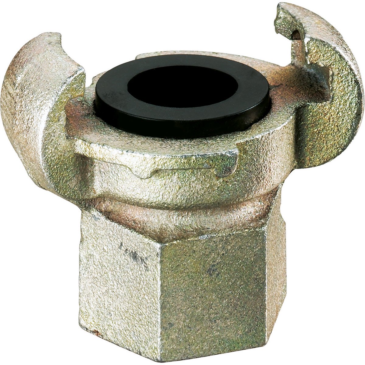 Ludecke Iron EU Claw Coupling Female BSPP | Not Branded | Hose Fittings ...