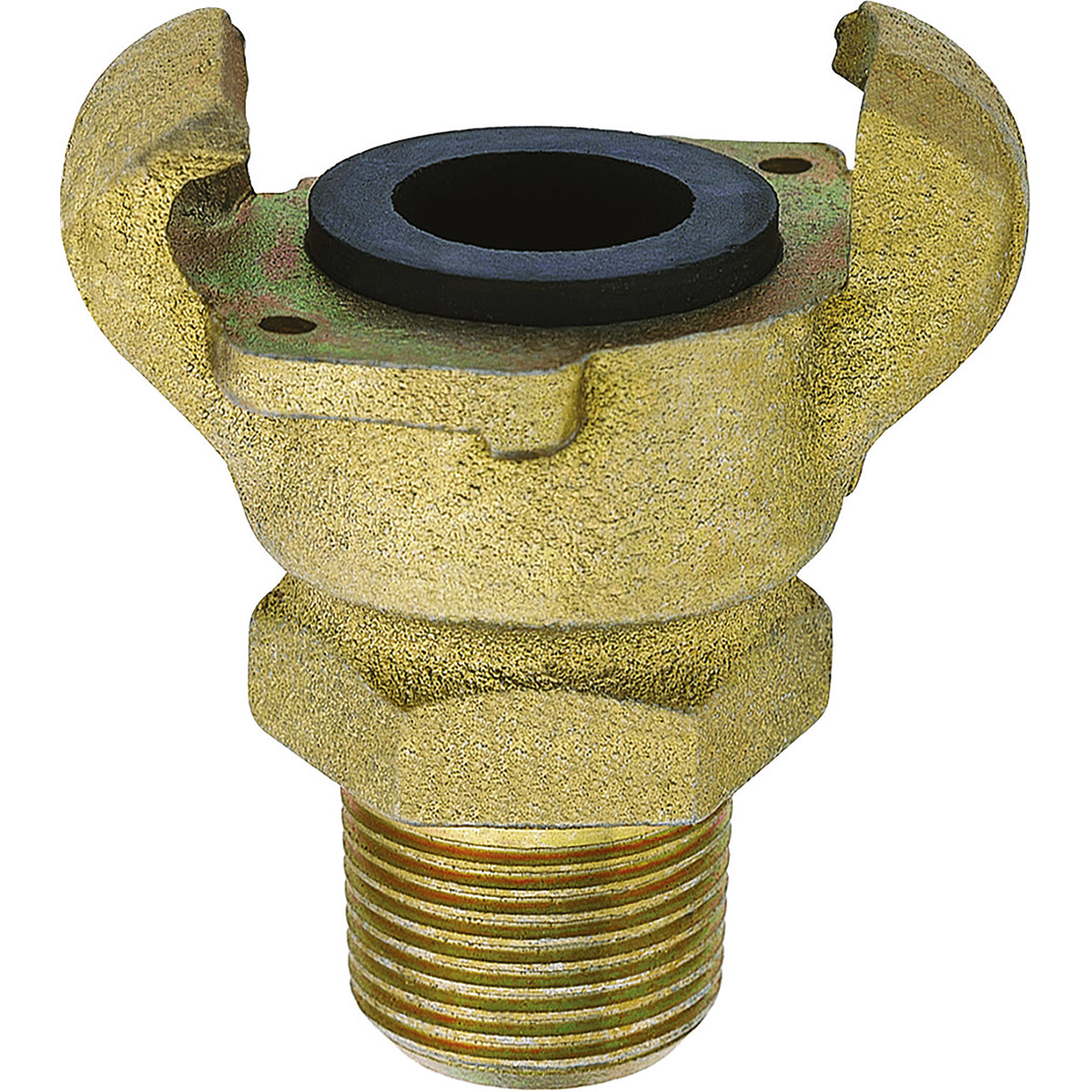 Ludecke Iron US Claw Coupling Male NPT | Not Branded | Hose Fittings | Arco