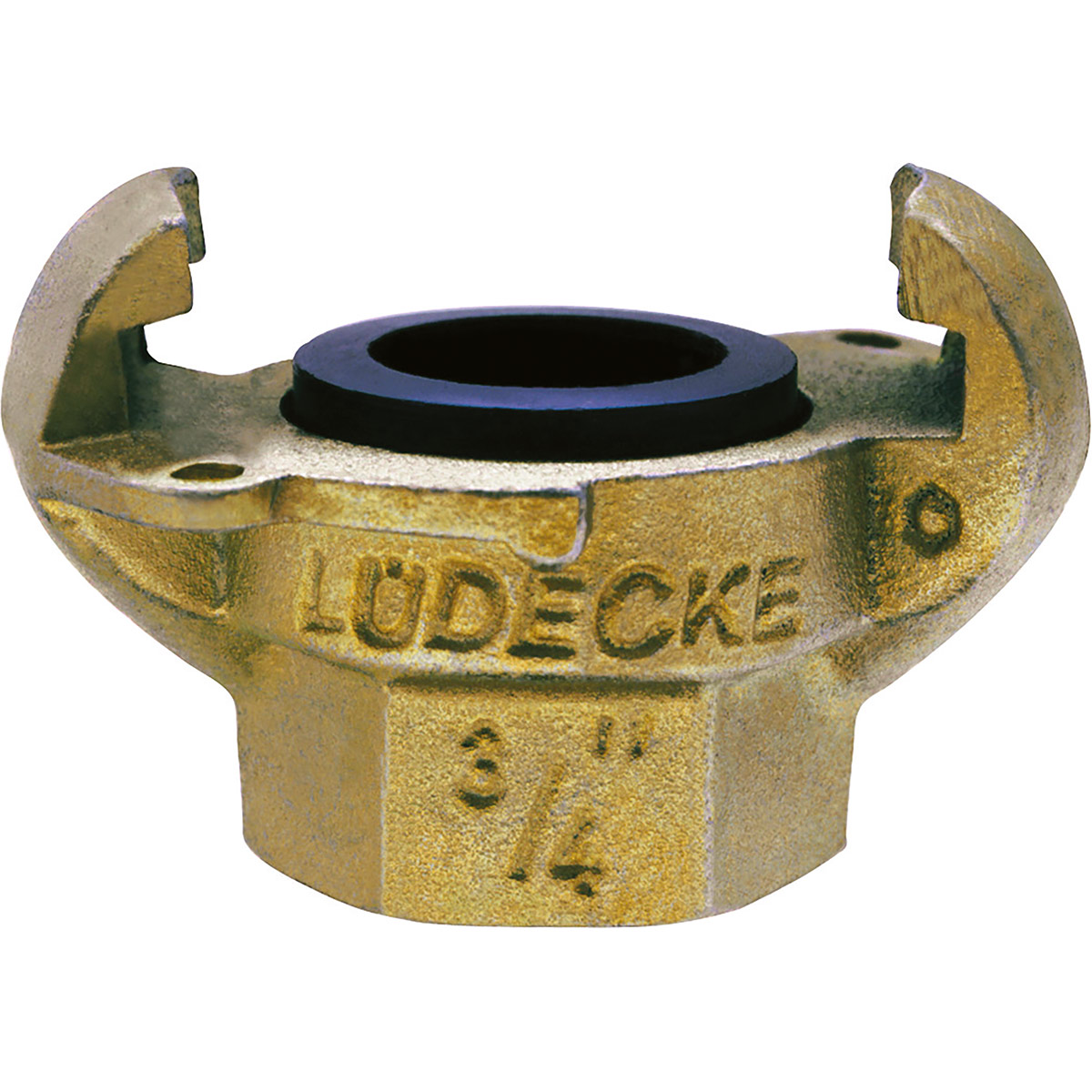 Ludecke Iron US Claw Coupling Female NPT | Not Branded | Hose Fittings ...
