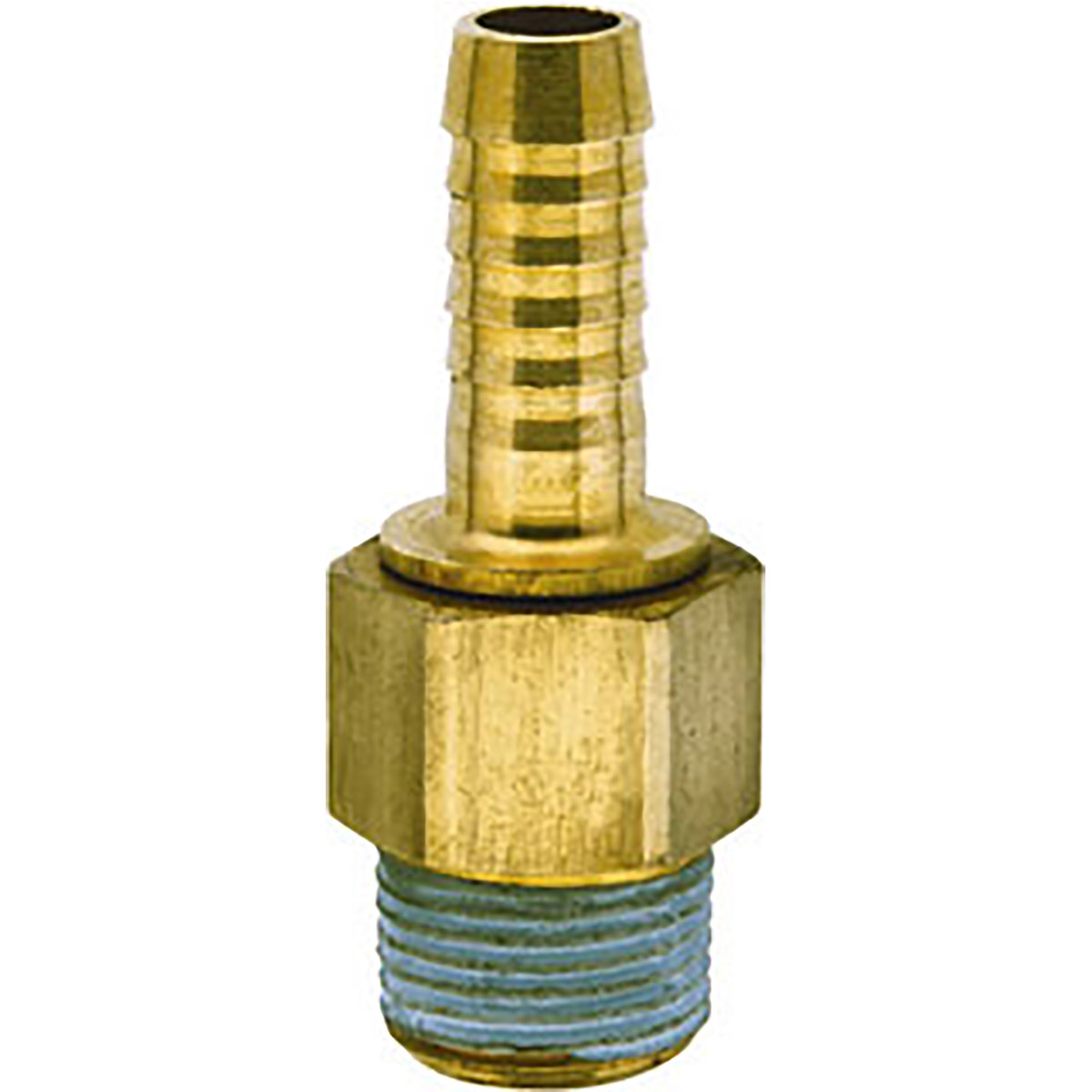 Ludecke Brass Male BSPT Swivel Hose Tail | Lüdecke | Hose Fittings | Arco